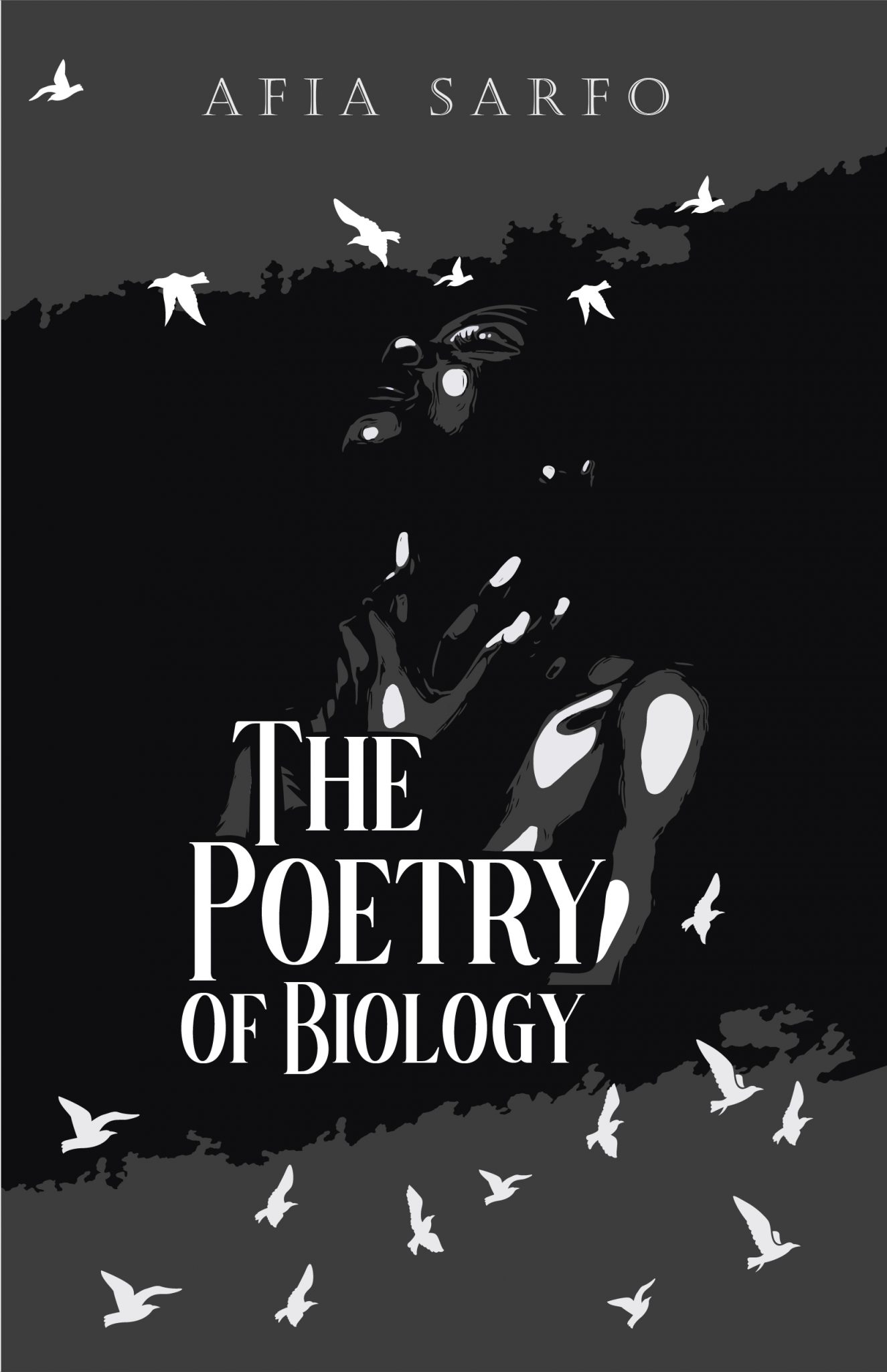 The Book Circle – The Best Free & Discounted Kindle eBooks